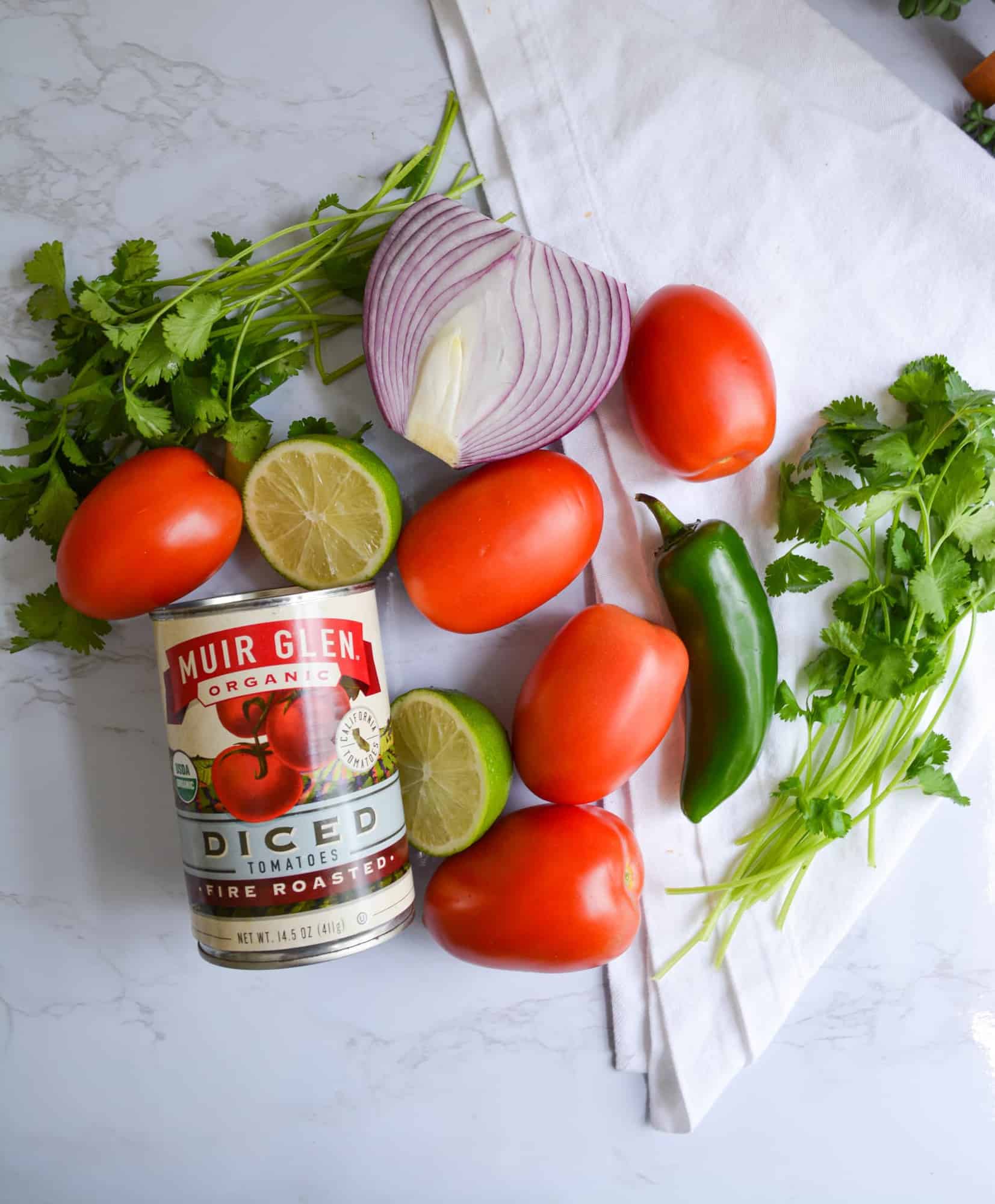 Thick Restaurant Style Salsa - Earthly Provisions