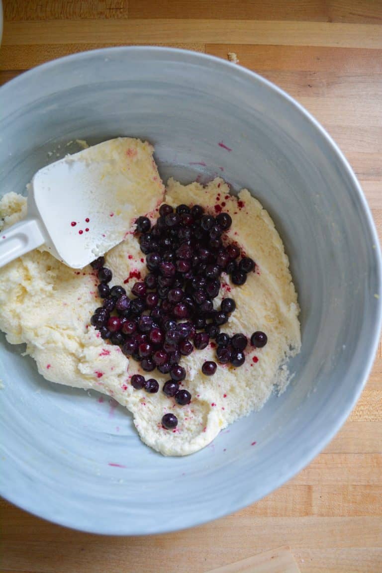 Easy Vegan Lemon Blueberry Sugar Cookies - Earthly Provisions