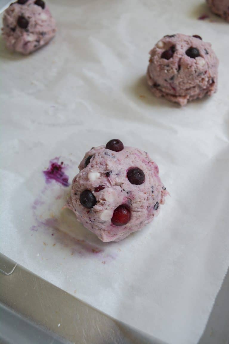 Easy Vegan Lemon Blueberry Sugar Cookies - Earthly Provisions