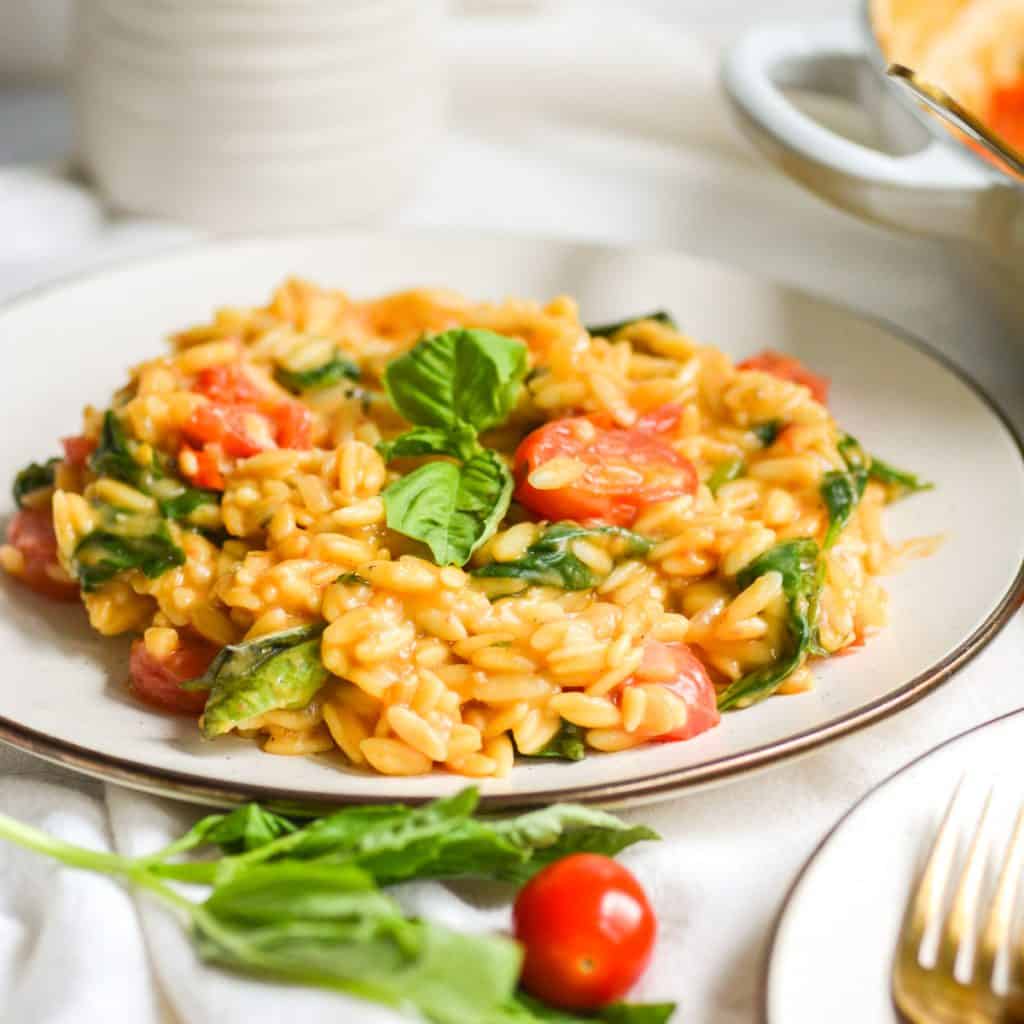 Creamy Tomato Orzo (Orzotto!) - Earthly Provisions