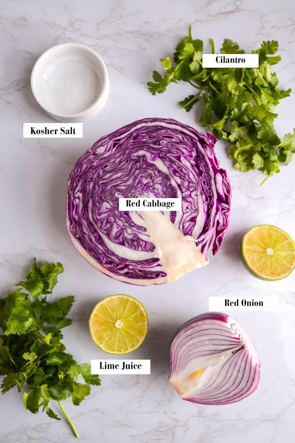 Cilantro Lime Red Cabbage Slaw (perfect for tacos!)- Earthly Provisions