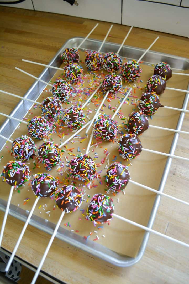 Vegan Cake Pops Recipe (Better Than Starbucks!)- Earthly Provisions
