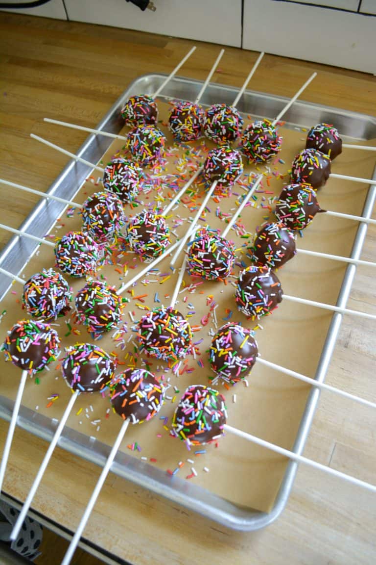 Vegan Cake Pops Recipe (Better Than Starbucks!)- Earthly Provisions