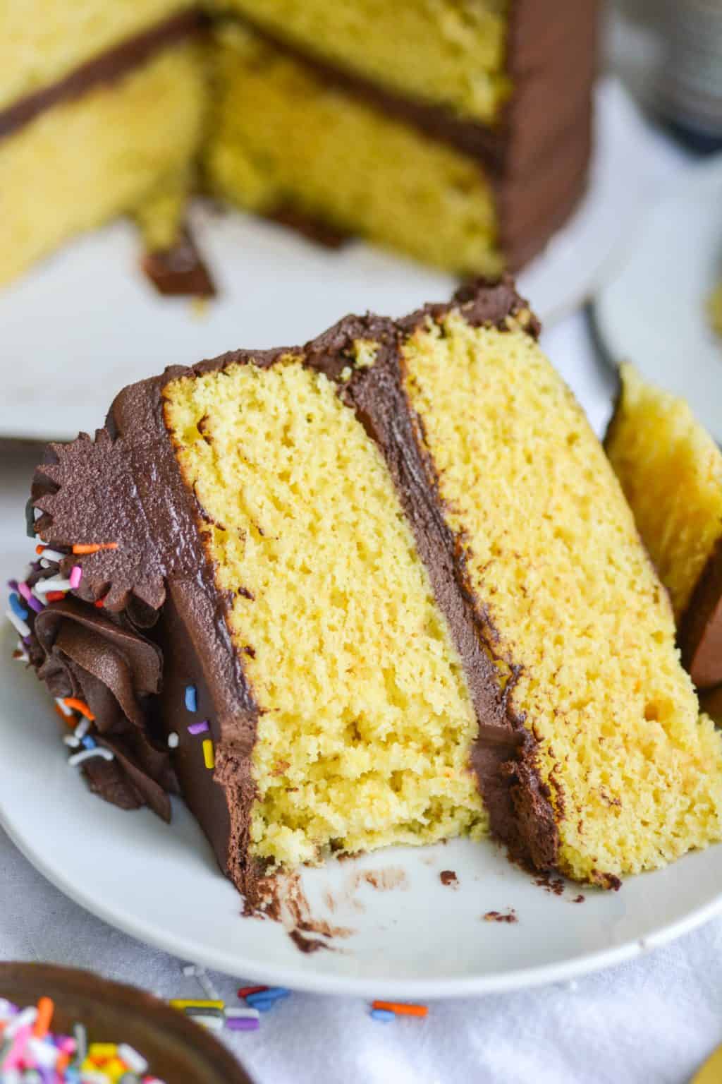 Vegan Birthday Cake (yellow cake with chocolate frosting!) - Earthly ...