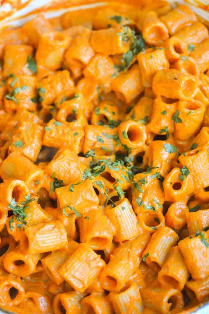 Creamy Harissa Pasta Recipe (vegan!) - Earthly Provisions