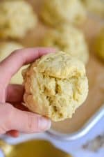 Olive Oil Biscuits (quick and easy!) - Earthly Provisions