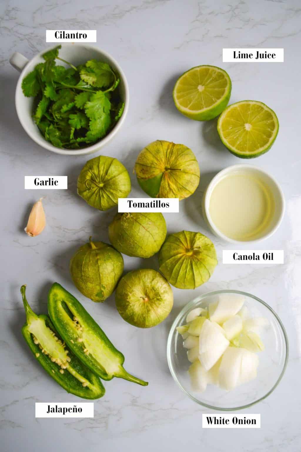 Tomatillo Salsa Recipe (salsa verde!) - Earthly Provisions