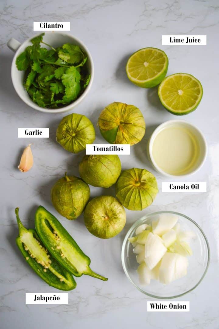 Tomatillo Salsa Recipe (salsa verde!) - Earthly Provisions