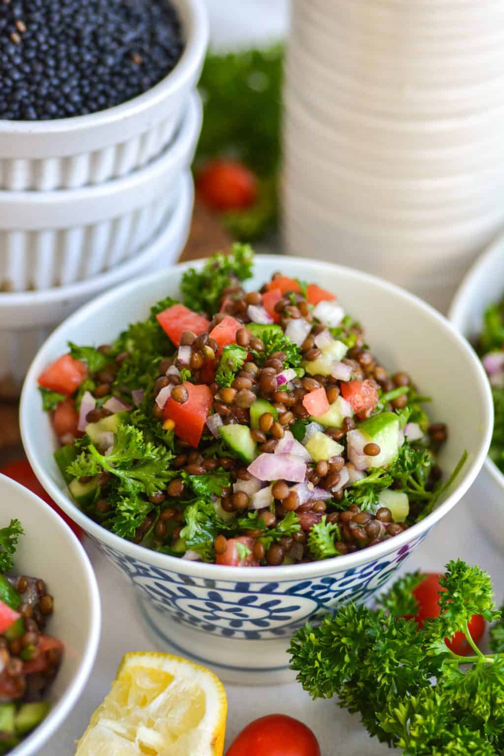 Mediterranean Lentil Salad (vegan & gluten-free!)- Earthly Provisions